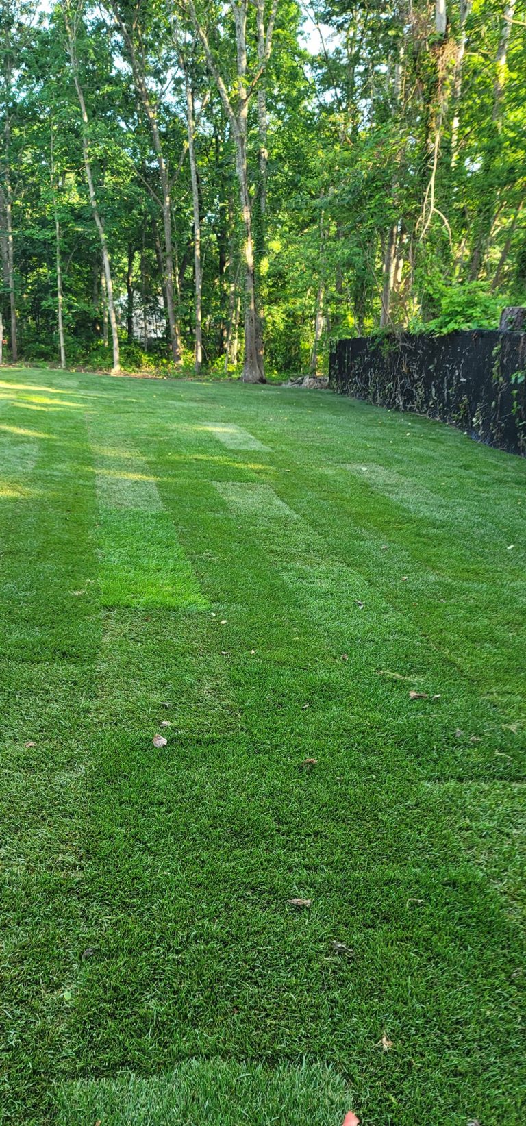 MSG Lawn Care Coram, NY | Top-Rated Landscaping