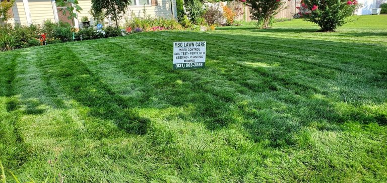 MSG Lawn Care Coram, NY | Top-Rated Landscaping